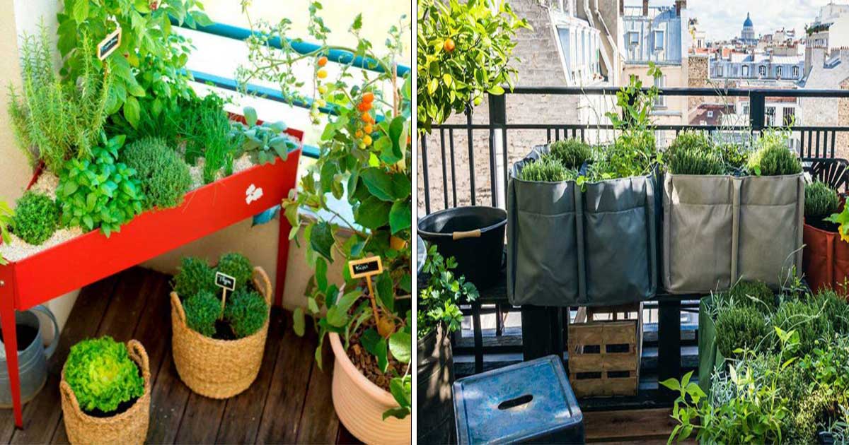 Idees potager vertical : creer potager avec pvc, palette ou balconniere