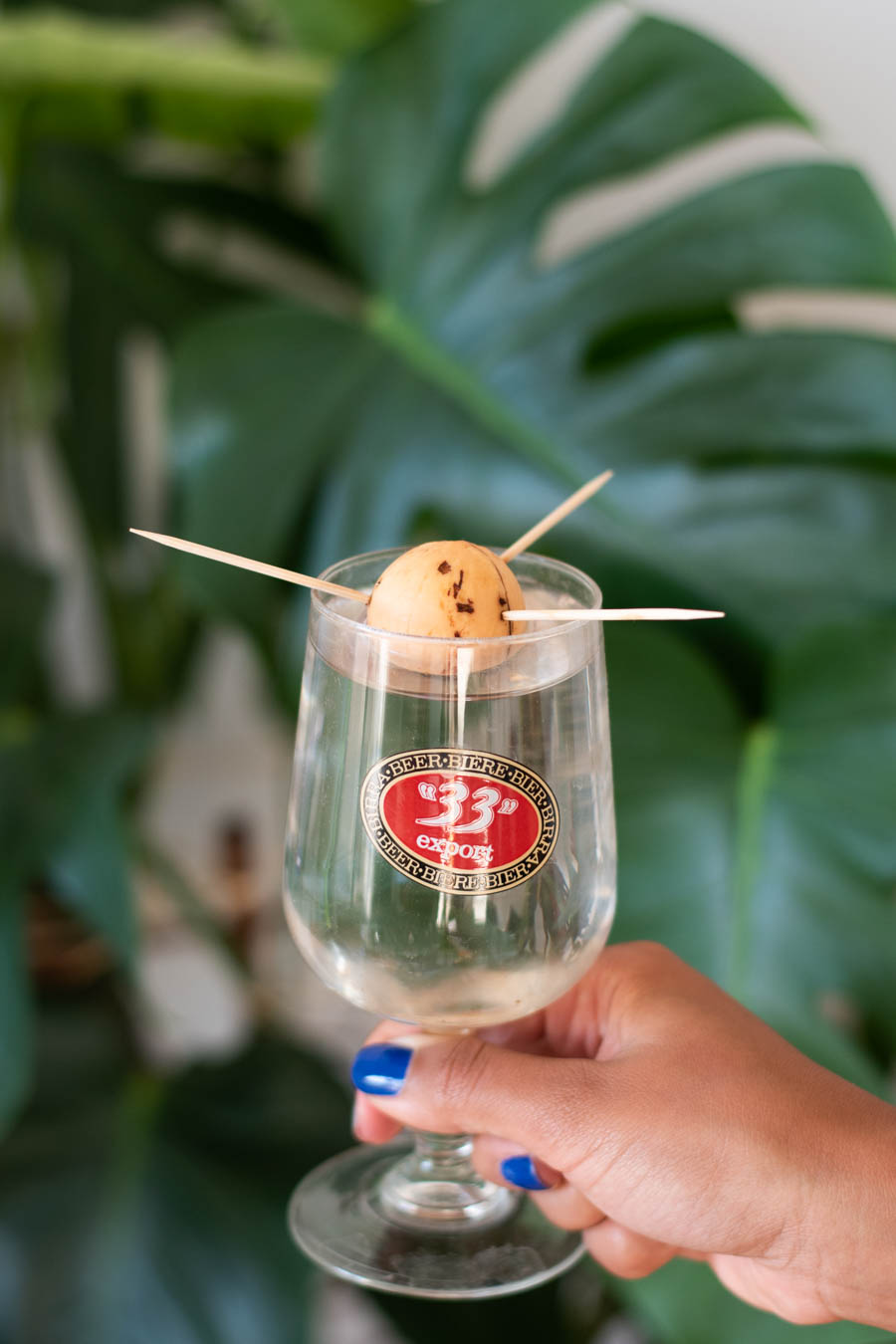 Avocatier en pot : conseils germination noyau & culture