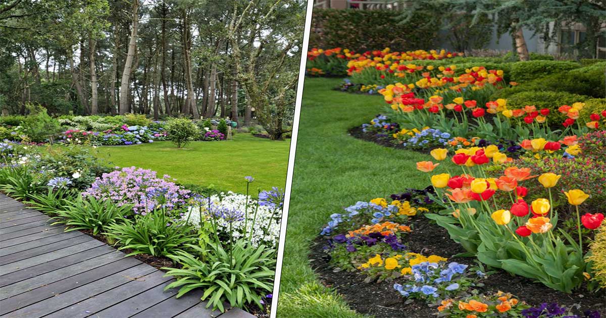 Decorer allees jardin avec fleurs : choix fleurs & methode