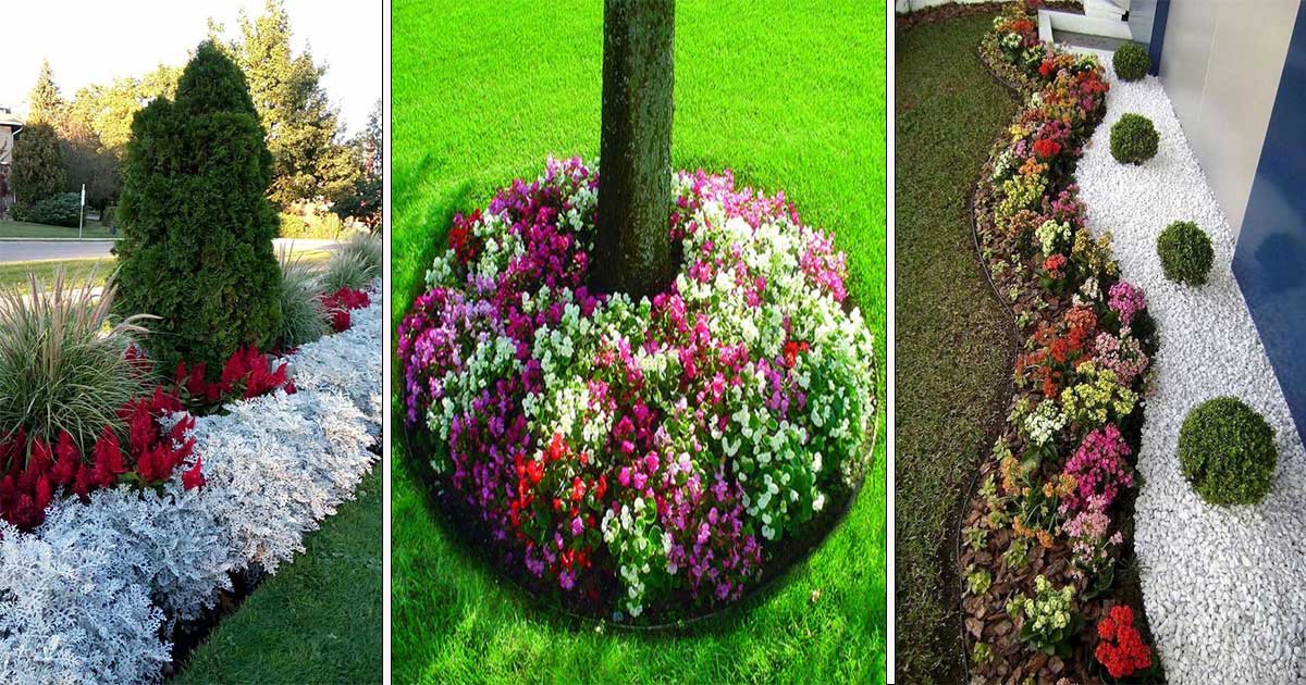 Decorer allees jardin avec fleurs : choix fleurs & methode
