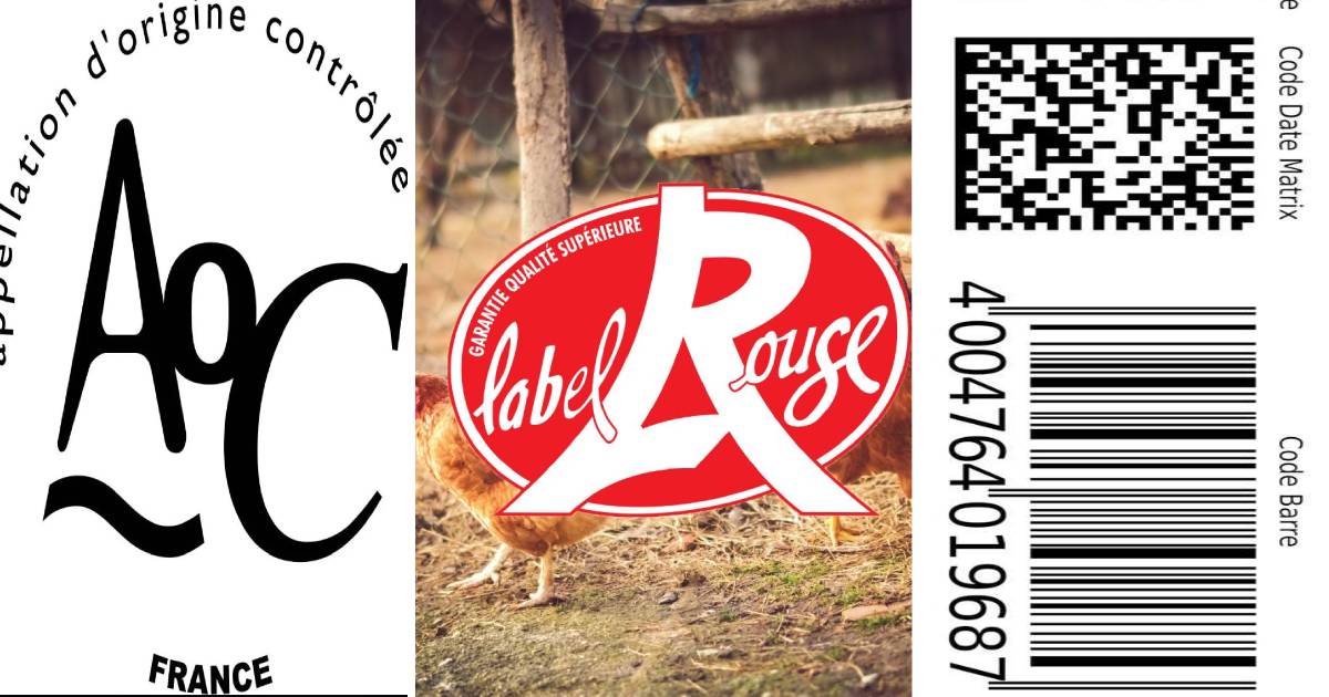 Comprendre les étiquettes alimentaires : labels, code a bar, dates